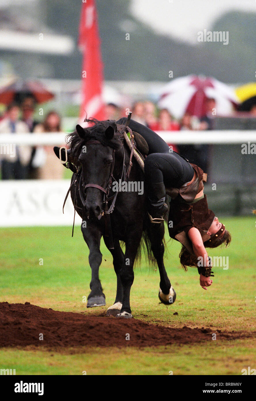 Trick horse hi-res stock photography and images - Alamy