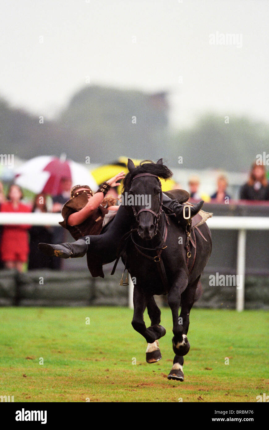 Trick horse hi-res stock photography and images - Alamy