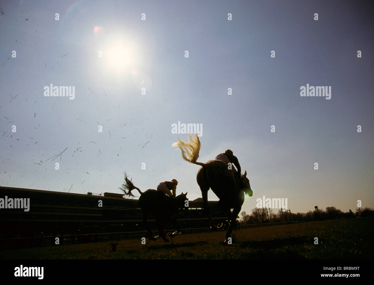 Steeplechasing hi-res stock photography and images - Alamy