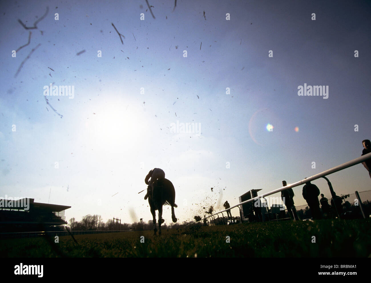 Below fence view as steeplechasing horses clear fence Stock Photo - Alamy