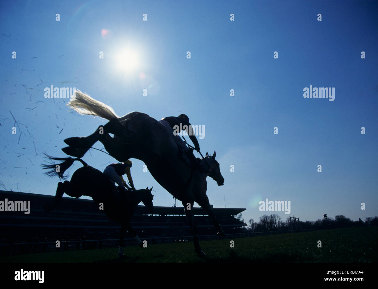 Steeplechasing hi-res stock photography and images - Alamy