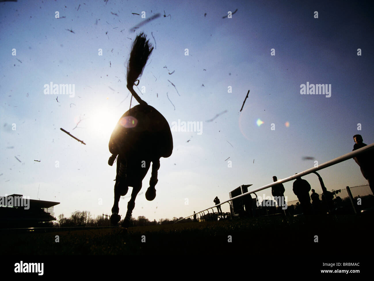 Below fence view as steeplechasing horses clear fence Stock Photo - Alamy