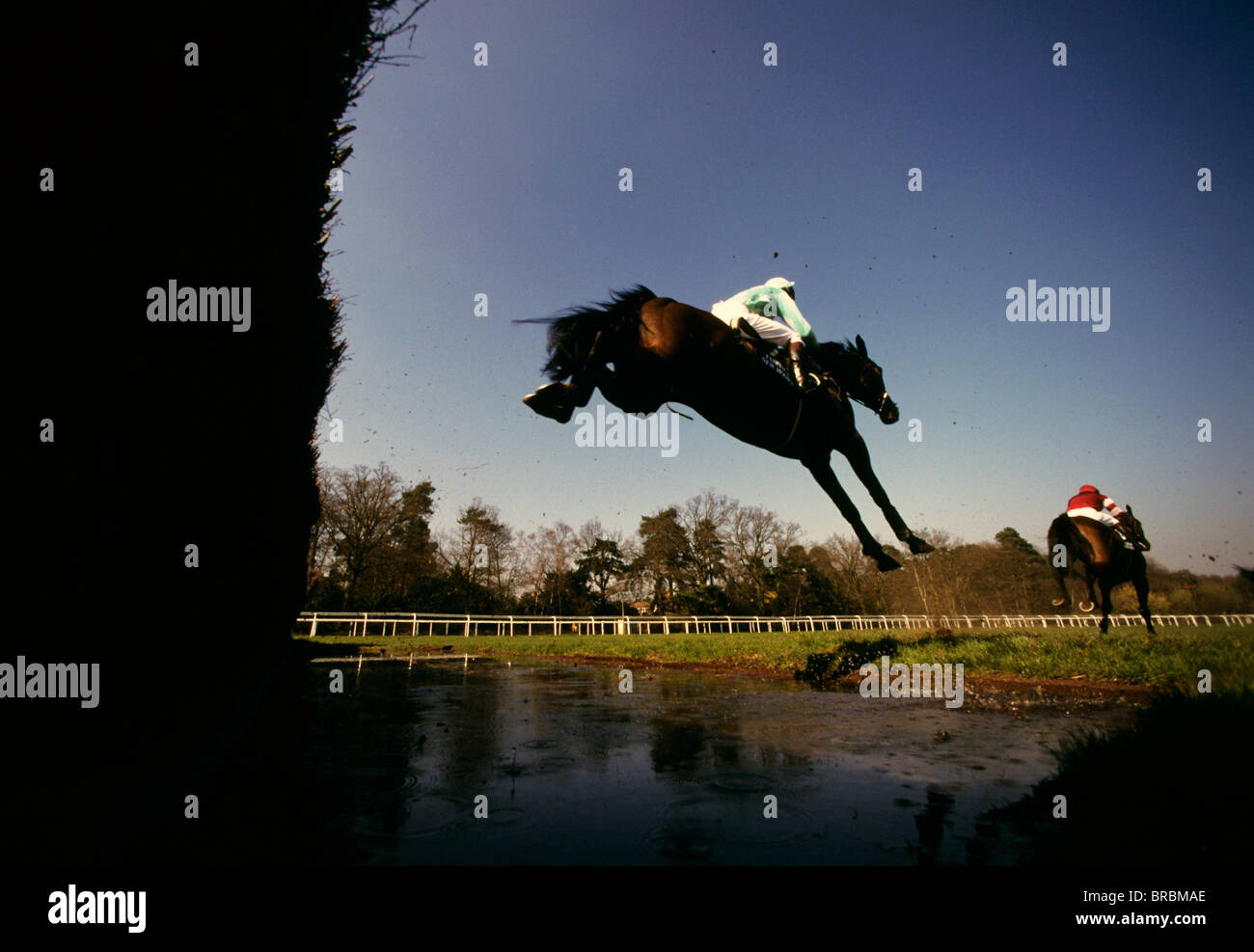 Steeplechasing hi-res stock photography and images - Alamy