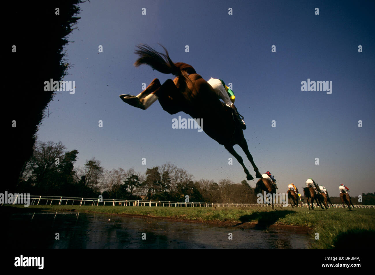 Steeplechasing High Resolution Stock Photography and Images - Alamy