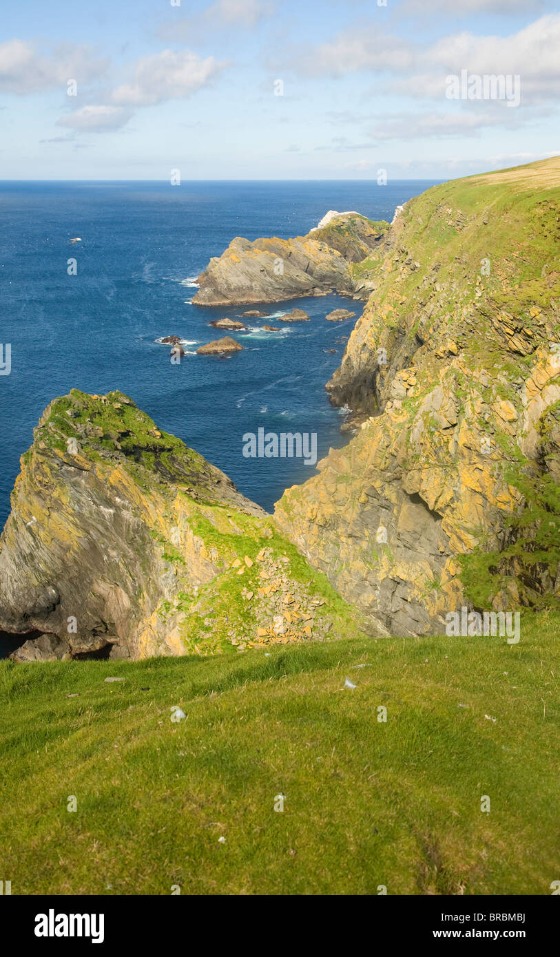 Cliffs coastal scenery, Hermaness, Unst, Shetland islands, Scotland ...