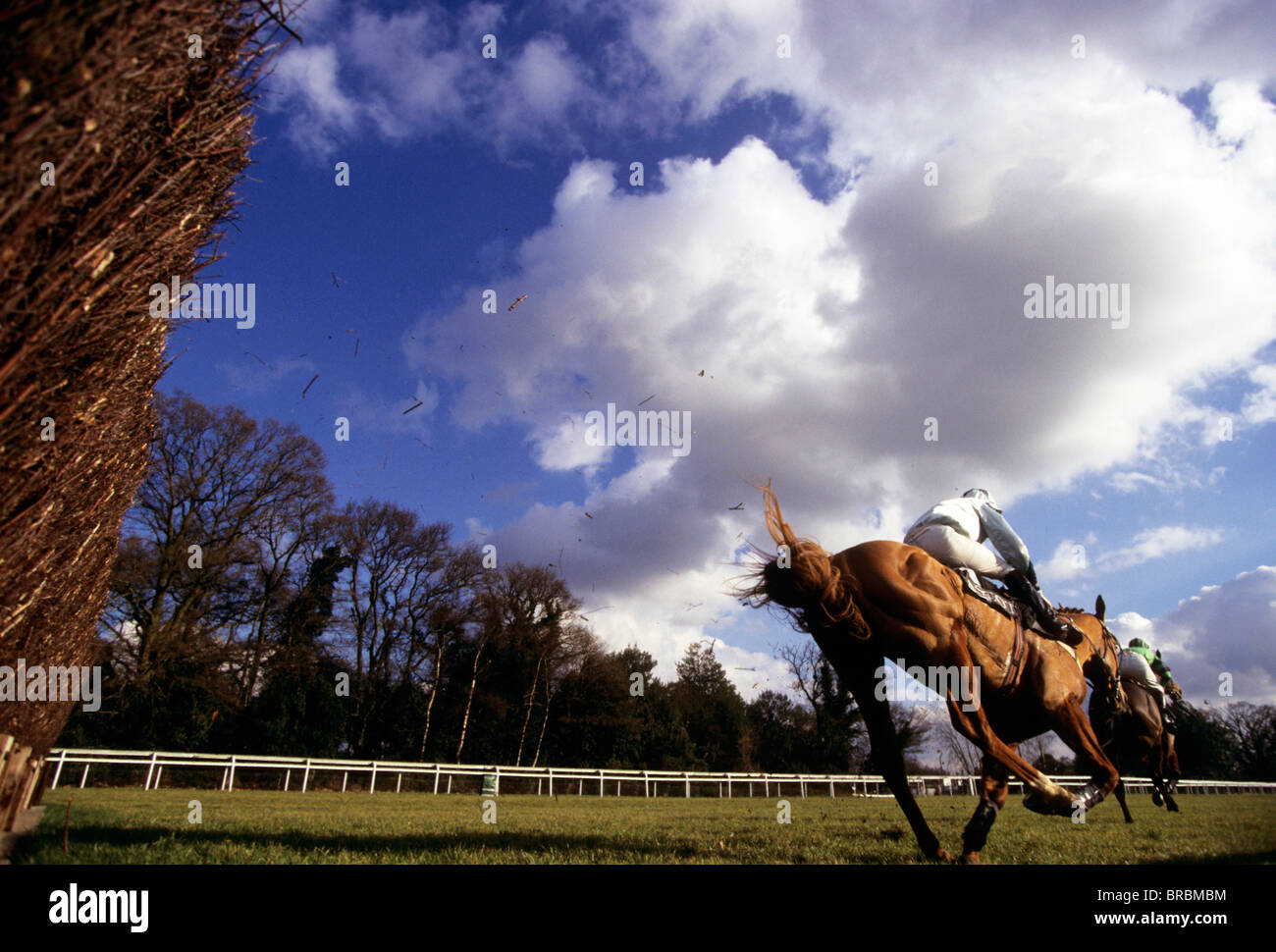 Below fence view as steeplechasing horses clear water jump fence Stock ...