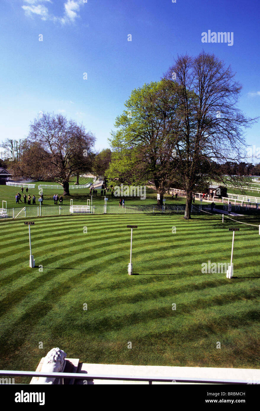 Horse parade ring hi-res stock photography and images - Alamy