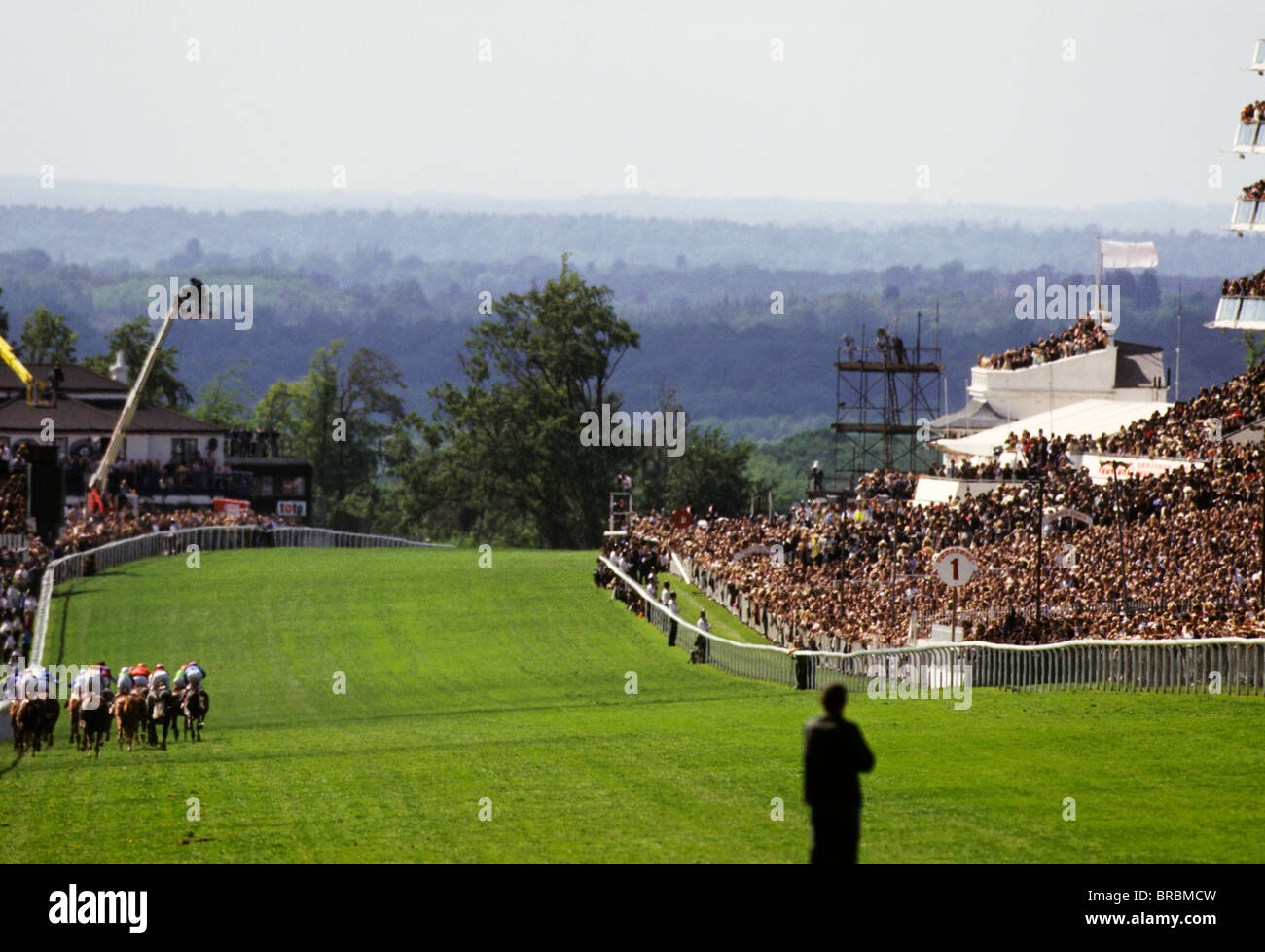 The final furlong hi-res stock photography and images - Alamy