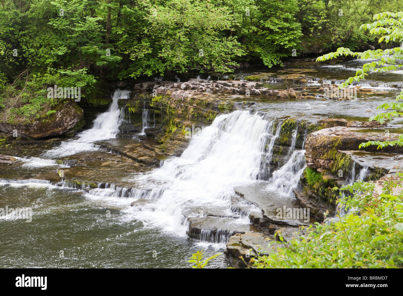 The Middle Falls on the River Ure at Aysgarth, North Yorkshire ...