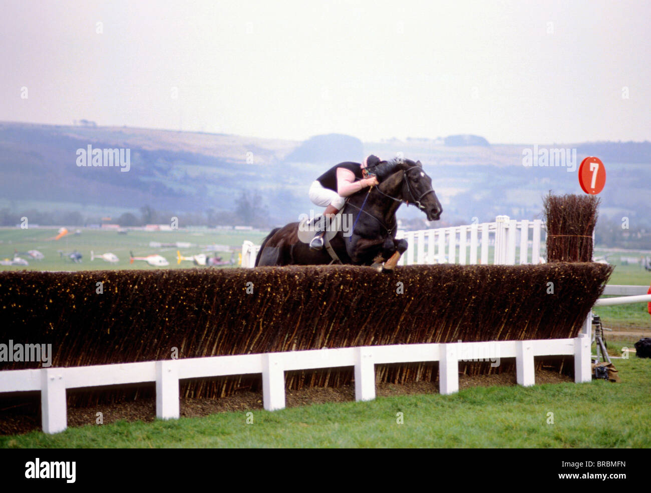Jockey on horse jumps a thicket fence during race Stock Photo - Alamy