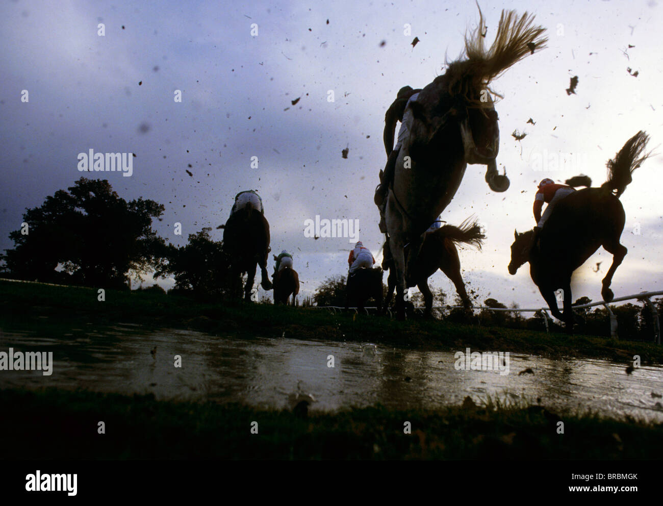 Steeplechase horse racing hi-res stock photography and images - Alamy