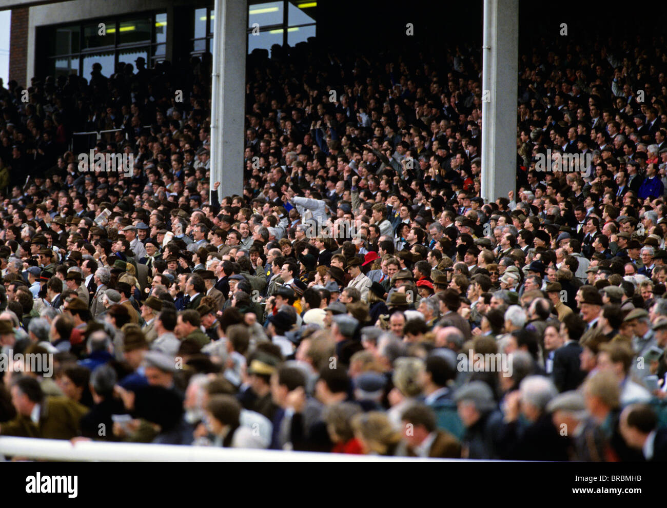 Crowd of spectators in grandstand at a horse racing meetikng Stock ...