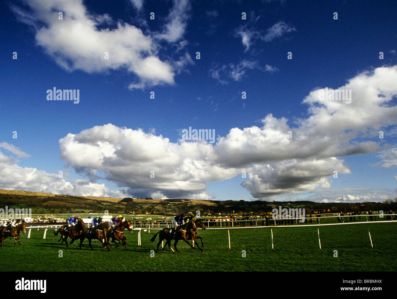 Group of horses racing around lright hand turn on course Stock Photo ...