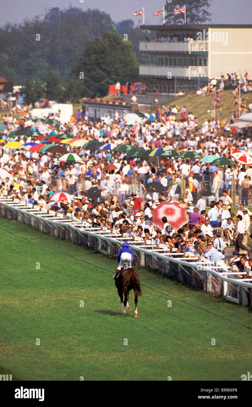 Jockey pulls up his horse on racetrack in front of spectators Stock ...