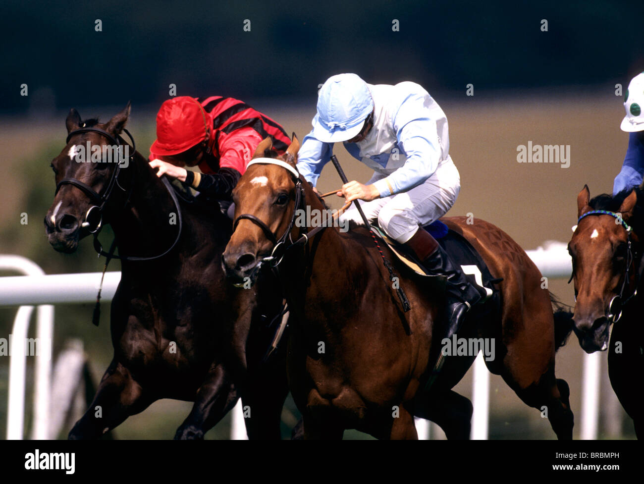 Horse Race Finish Line Stock Photos & Horse Race Finish Line Stock ...