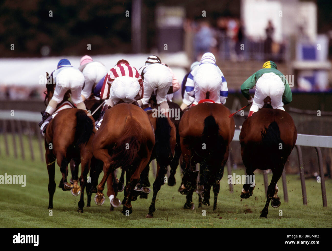 Race_horses hi-res stock photography and images - Alamy