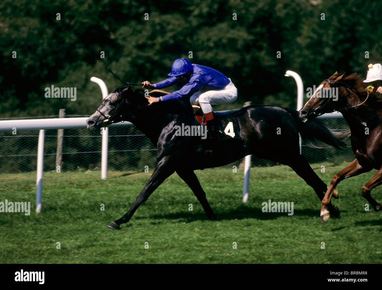 Jockeys urge their horses forward in race Stock Photo - Alamy