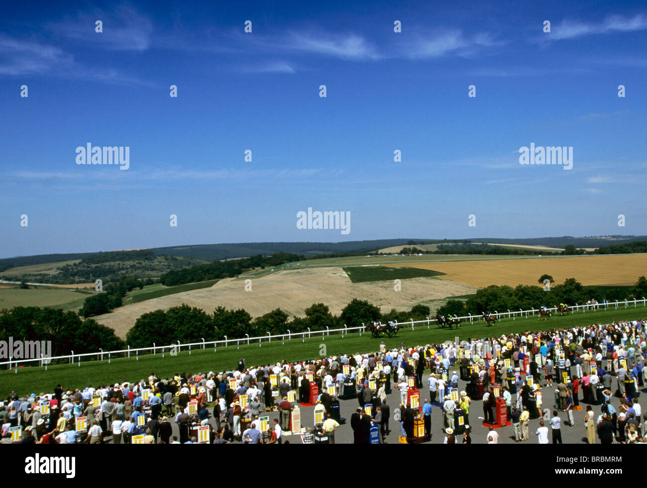 Spectators watch horse race from stands against blue sky Stock Photo ...