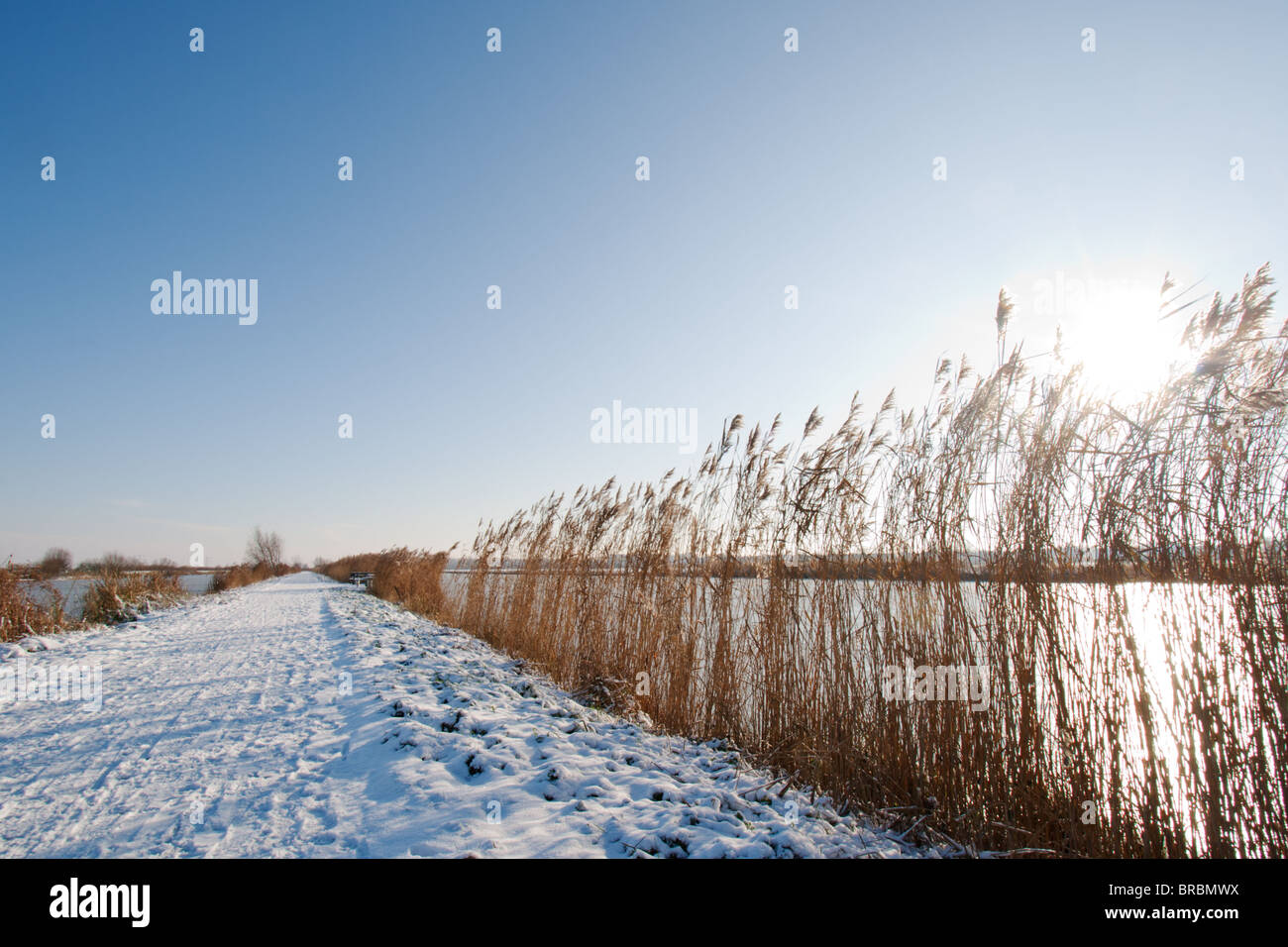 Holland frost hi-res stock photography and images - Alamy