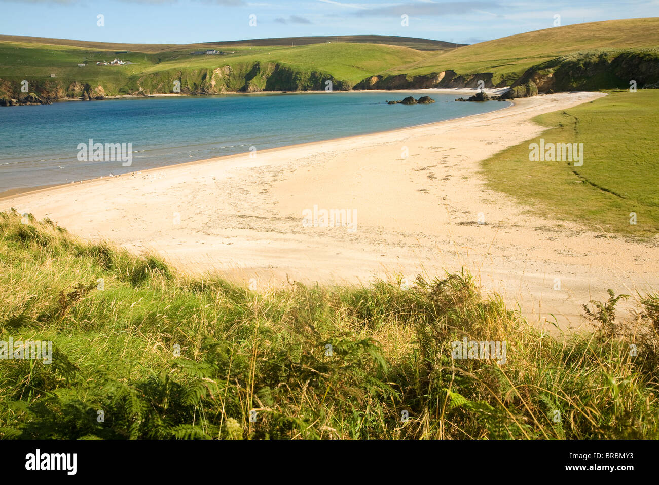 Sandy beach Burrafirth, Unst, Shetland Islands, Scotland Stock Photo ...