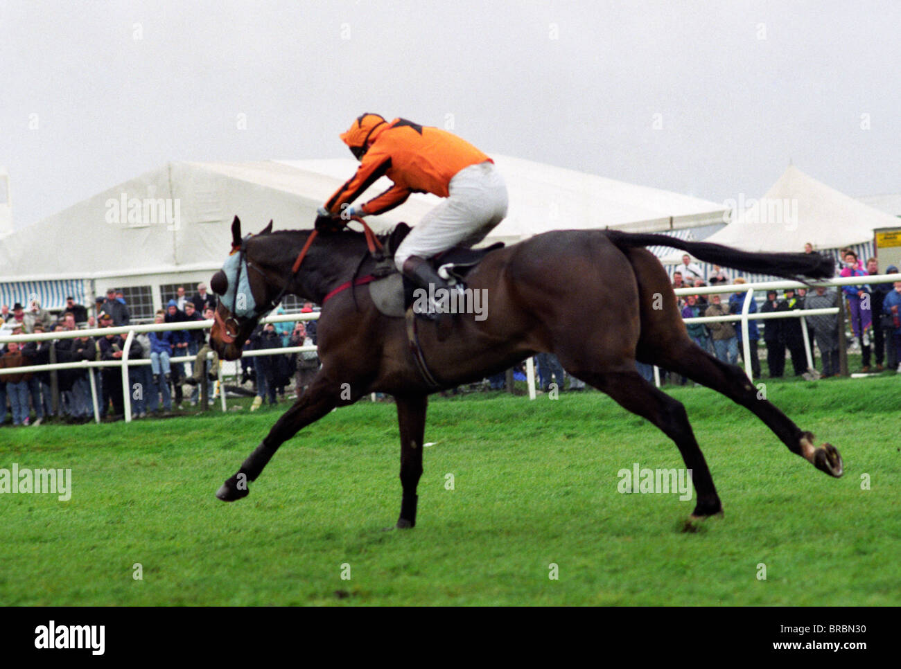 Horse and Jockey land over steeplechase jump and gallop forward Stock ...