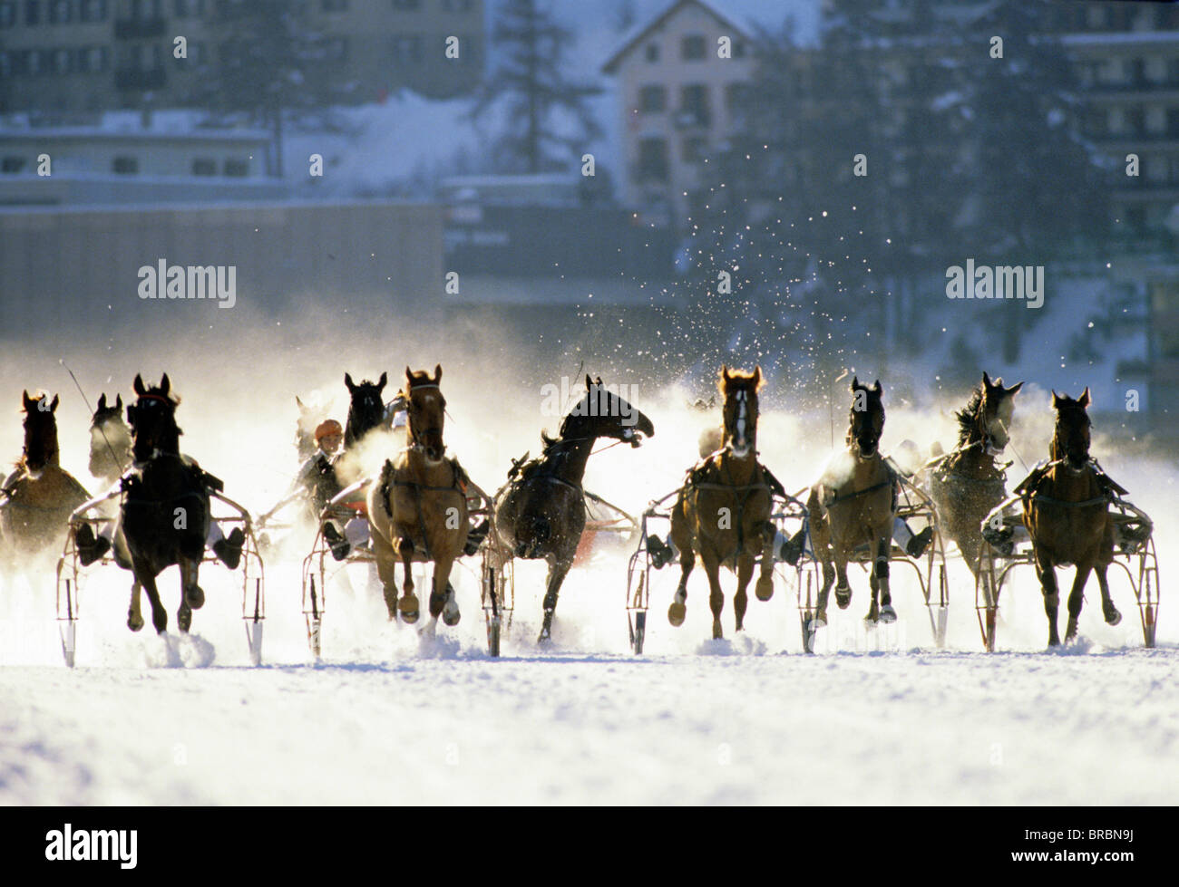 Start of horse hi-res stock photography and images - Alamy