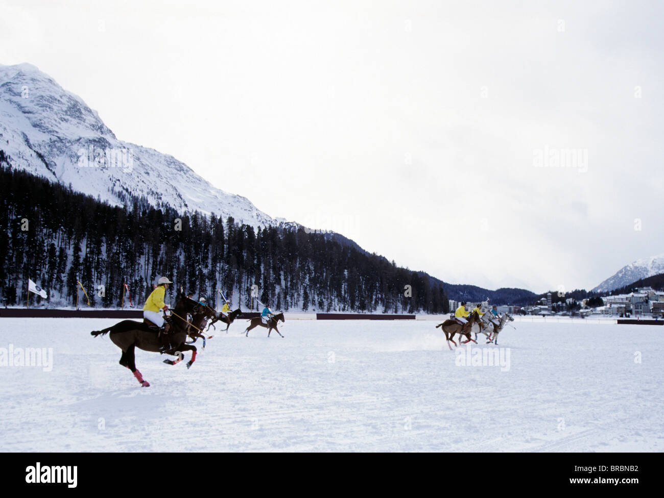 Horse polo hi-res stock photography and images - Alamy