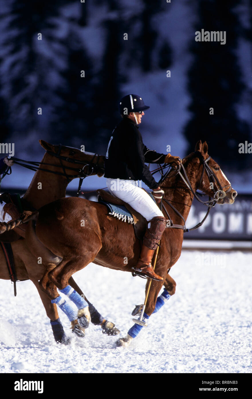 Ice Horse Polo in mountain setting Stock Photo - Alamy