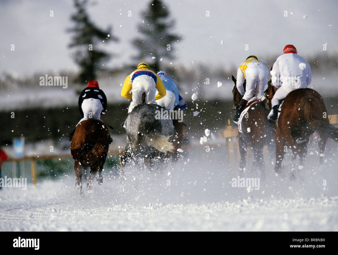 Group c racing hi-res stock photography and images - Alamy