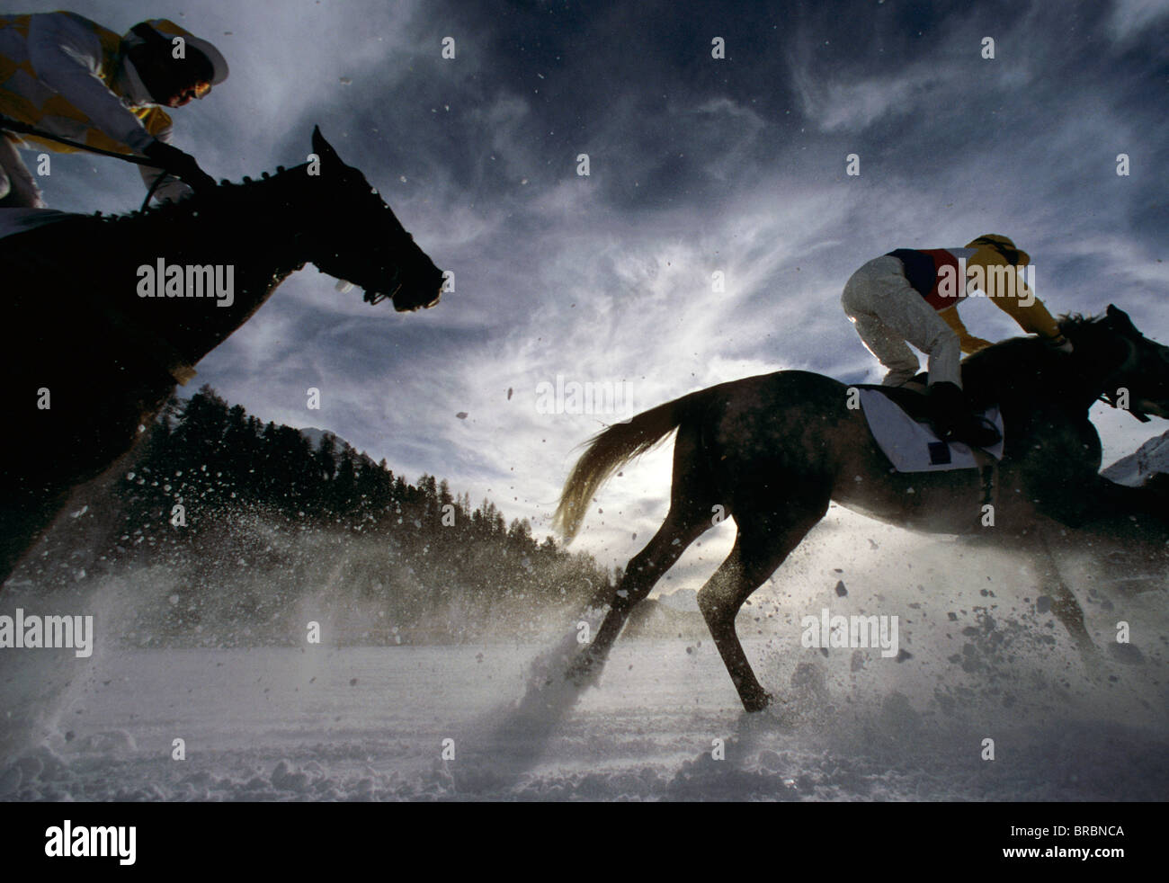 Jockeys races their horses across ice course in winter in mountain ...