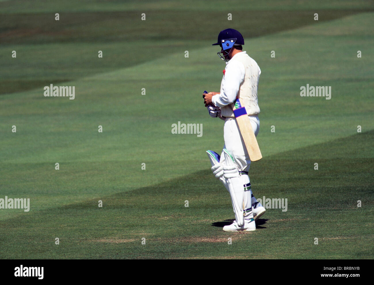 Batsman out hi-res stock photography and images - Alamy