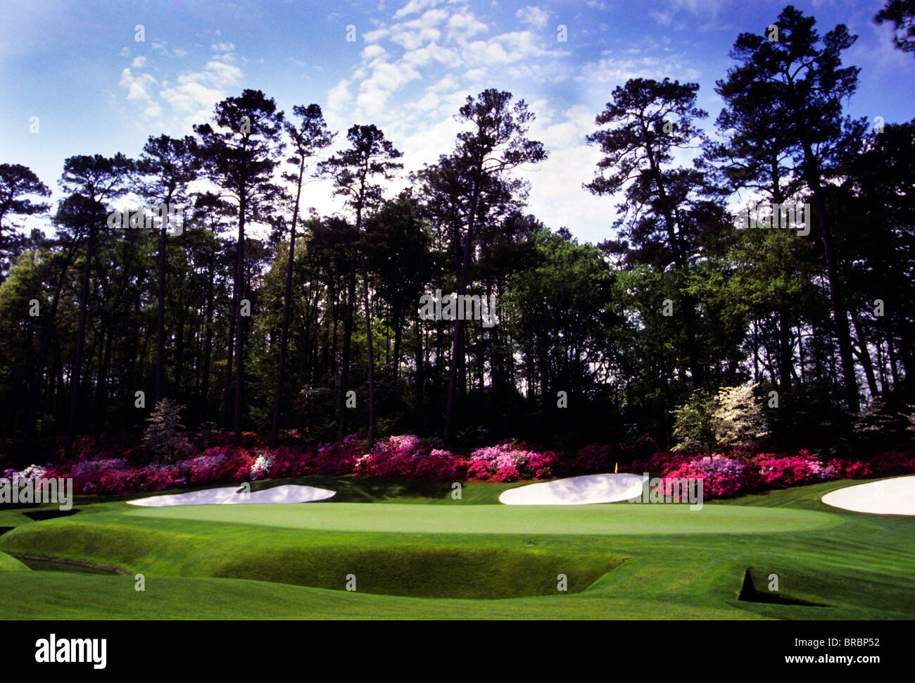 Fairway on golf course looking towards green lined with tall trees ...