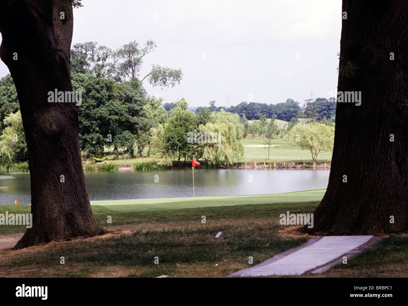 View from golf green between two trees with a lake in the background ...