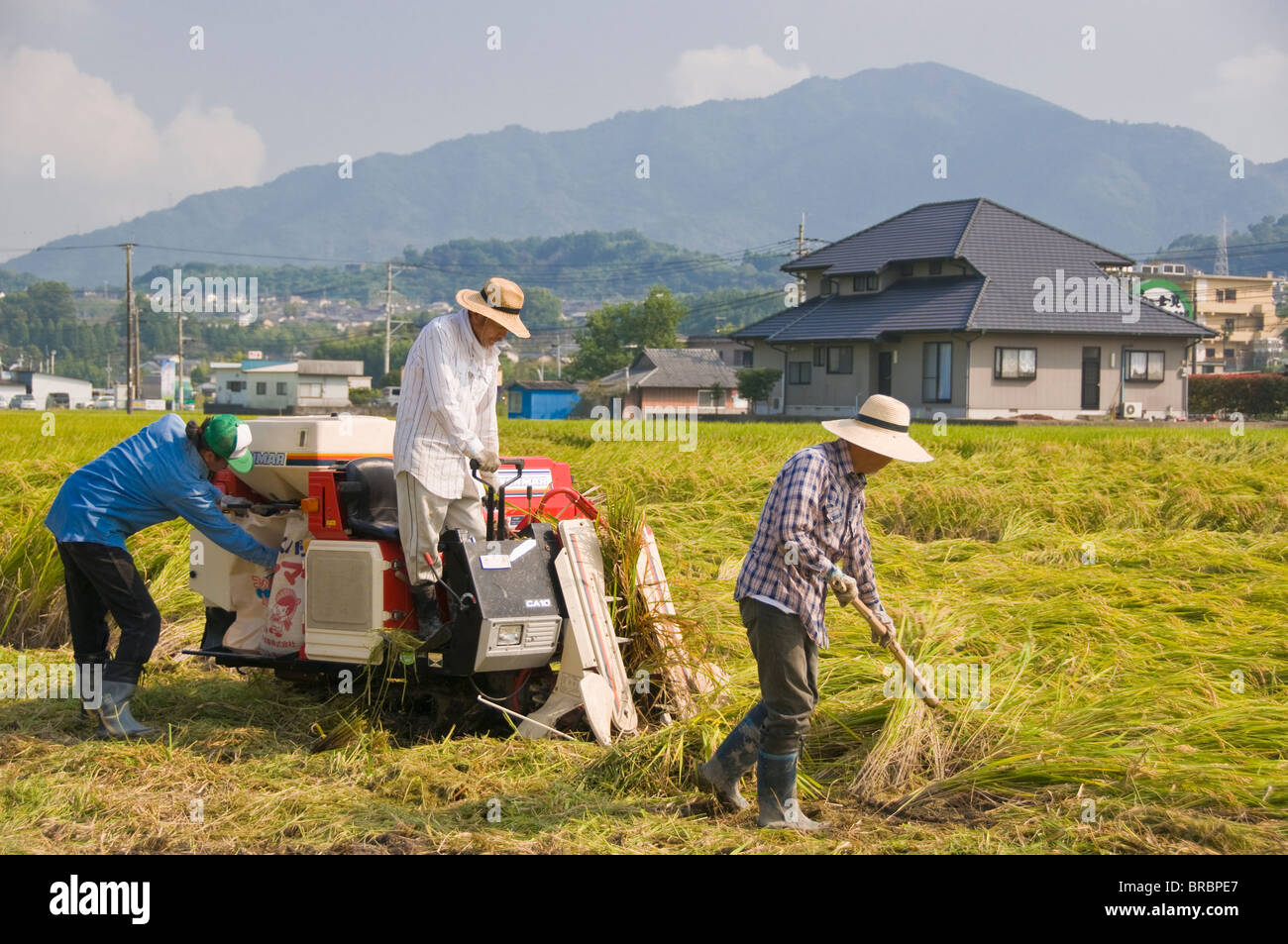 Harvesting rice by machine, near Oita city, Kyushu, Japan Stock Photo ...