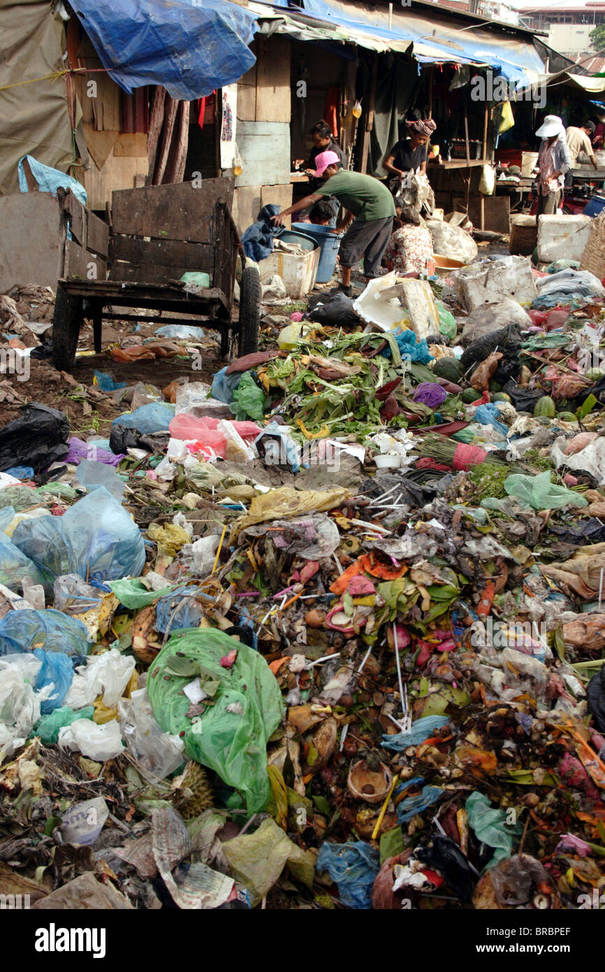 Rotting garbage is piled adjacent to squatter's homes in Phnom Penh ...