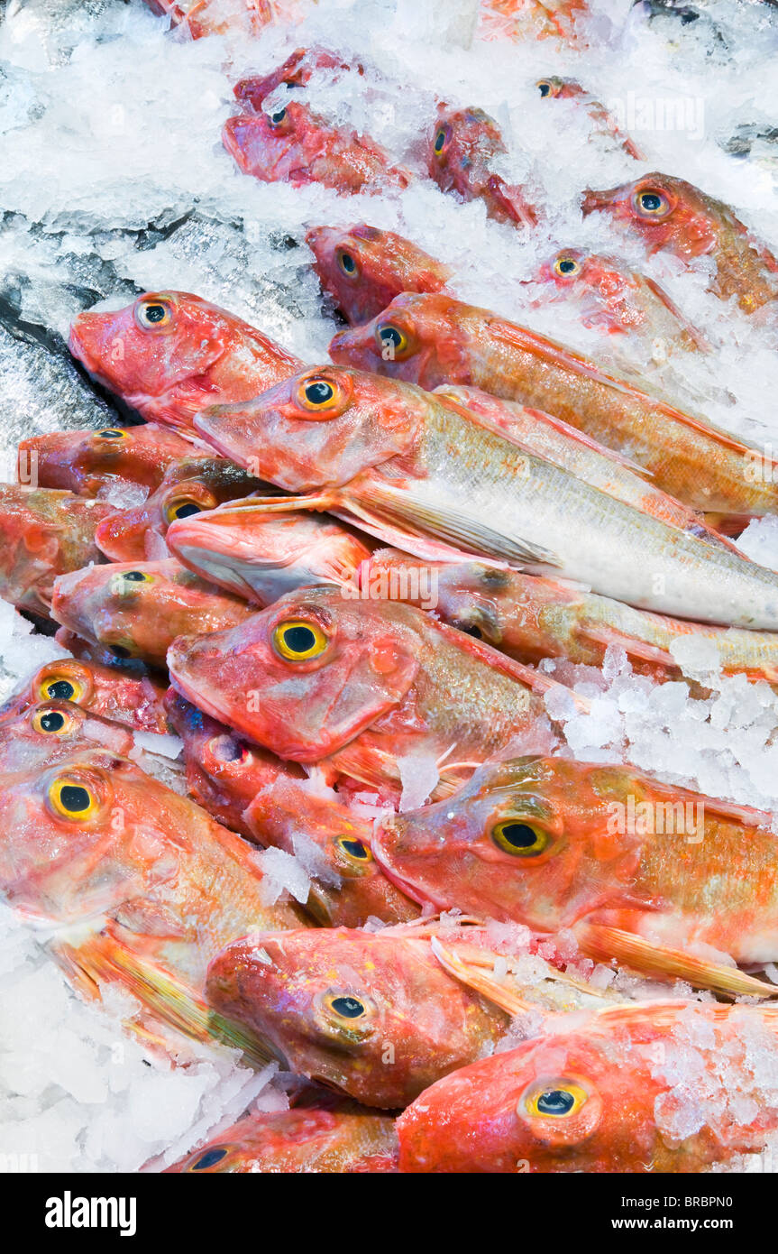 Fish on slab hi-res stock photography and images - Alamy