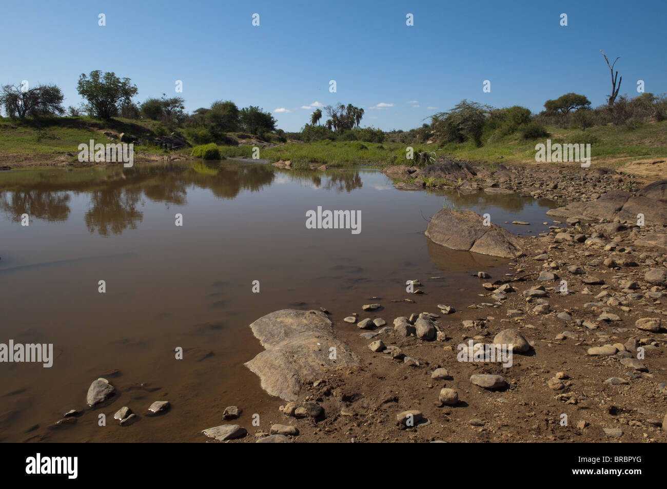 Loisaba Wilderness Conservancy, Laikipia, Kenya, East Africa Stock ...