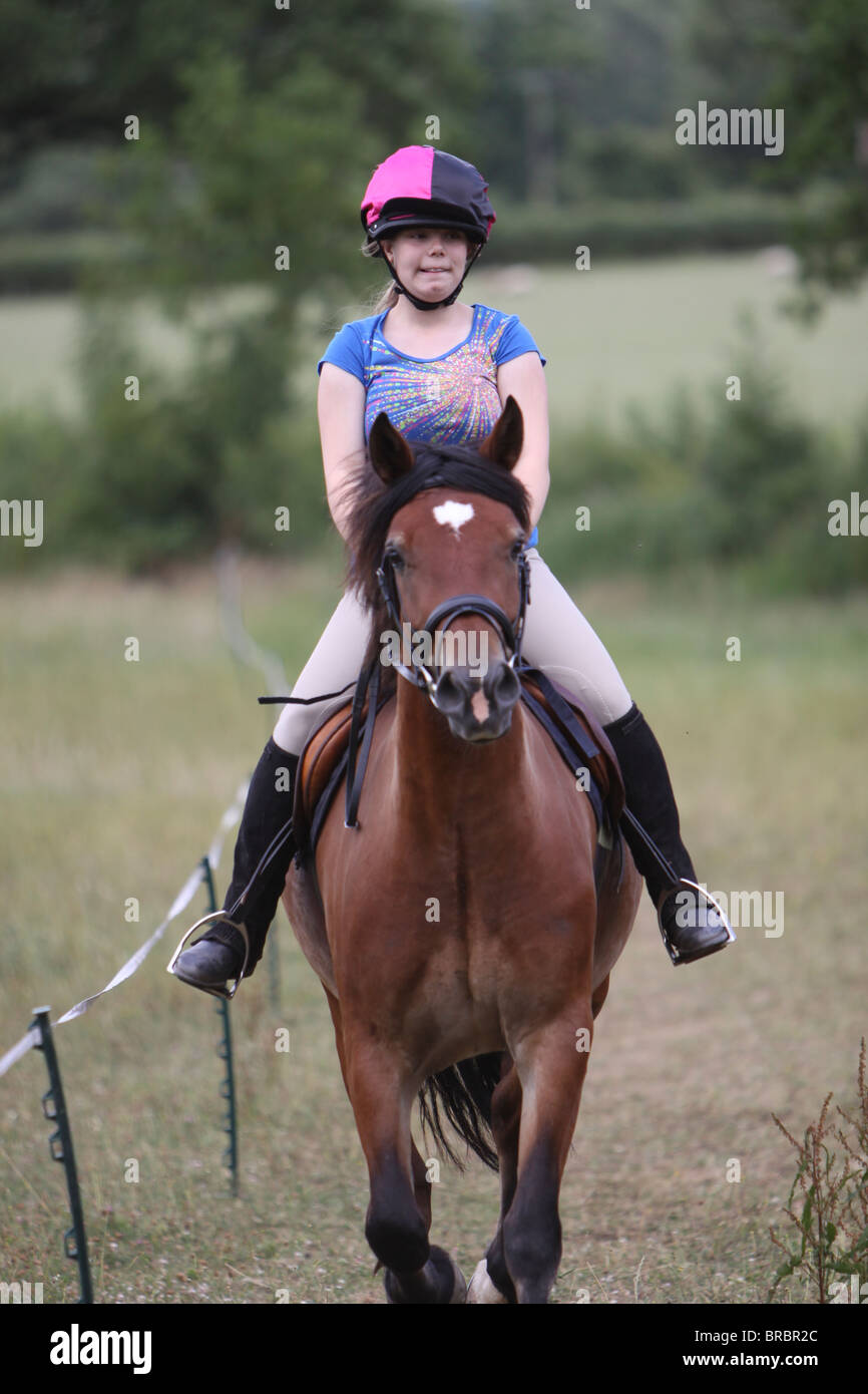 A teenage girl riding a beautiful bay Welsh Cob Stock Photo - Alamy