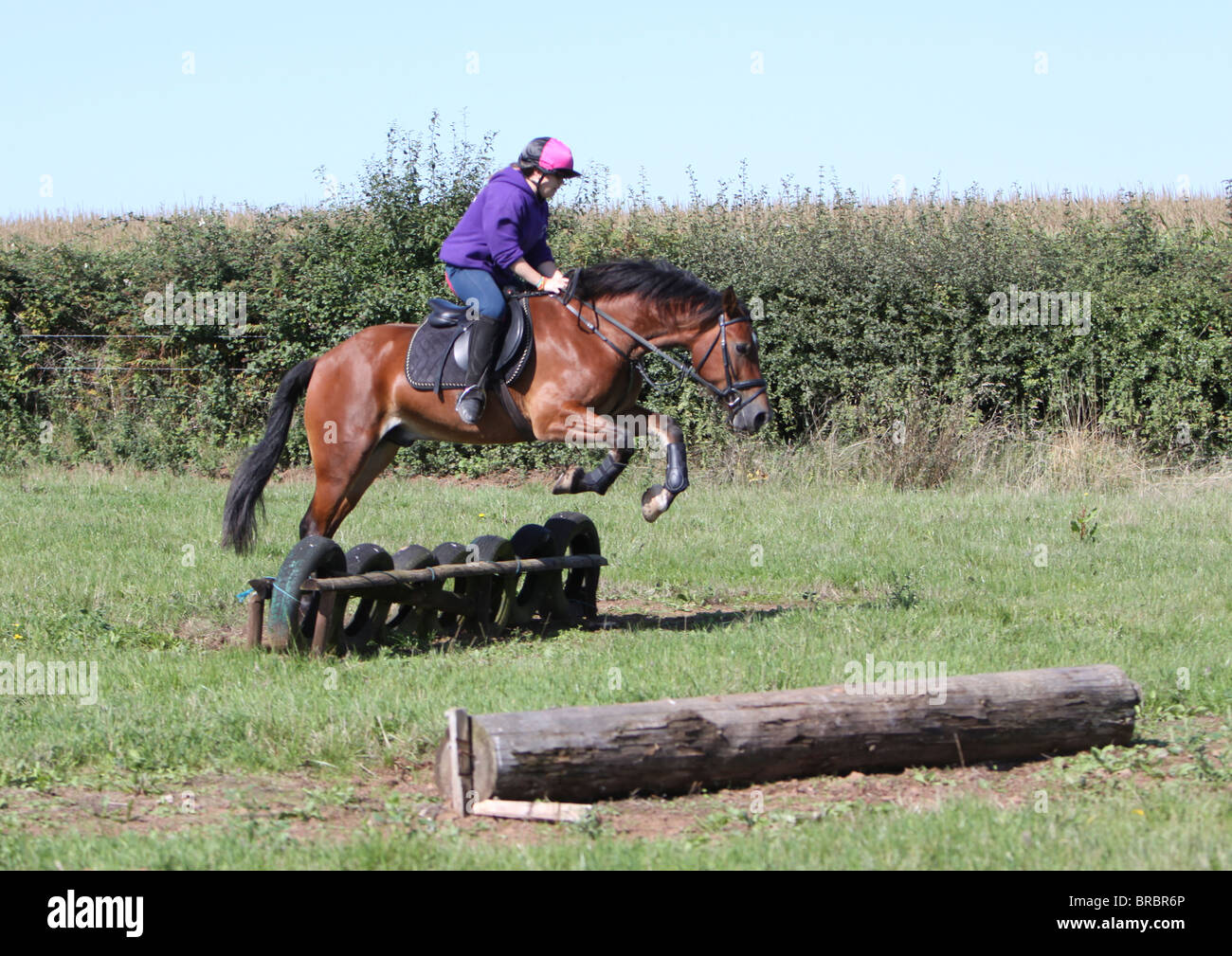 A teeage girl riding a beautiful bay Welsh Cob Stock Photo - Alamy