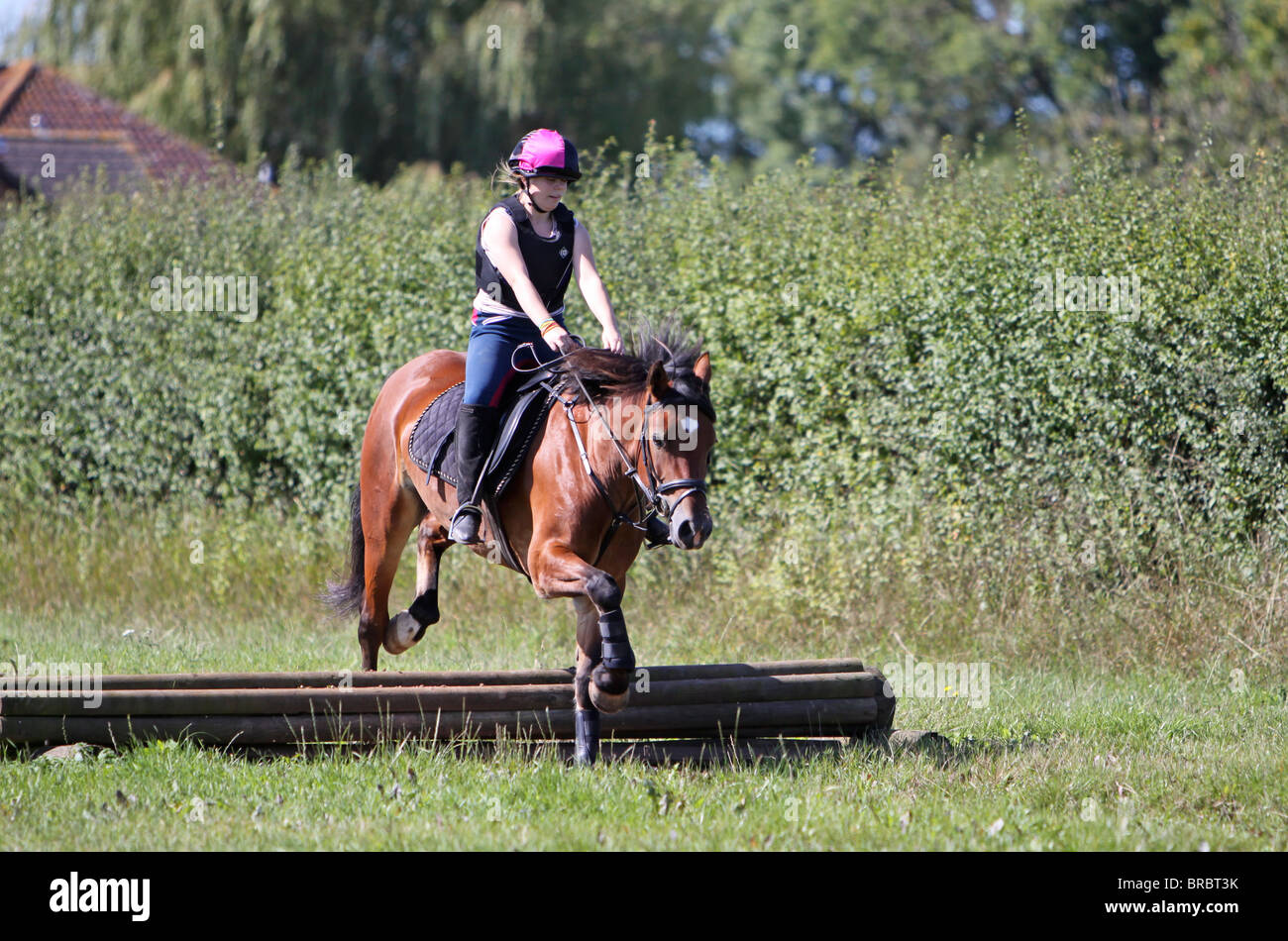 Welsh pony jumping High Resolution Stock Photography and Images - Alamy