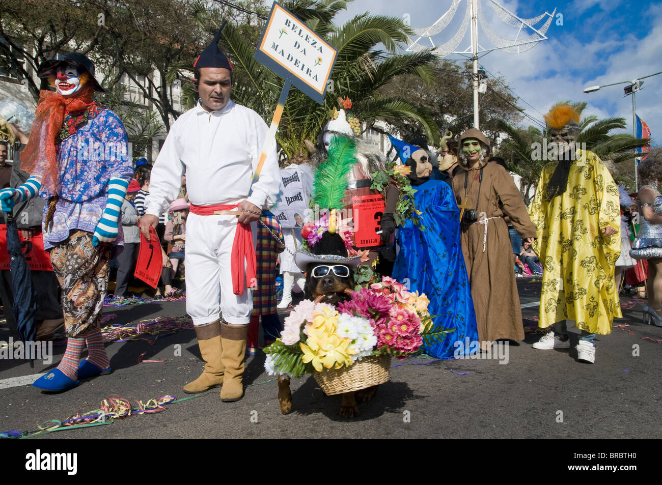 Carnival of madeira hi-res stock photography and images - Alamy