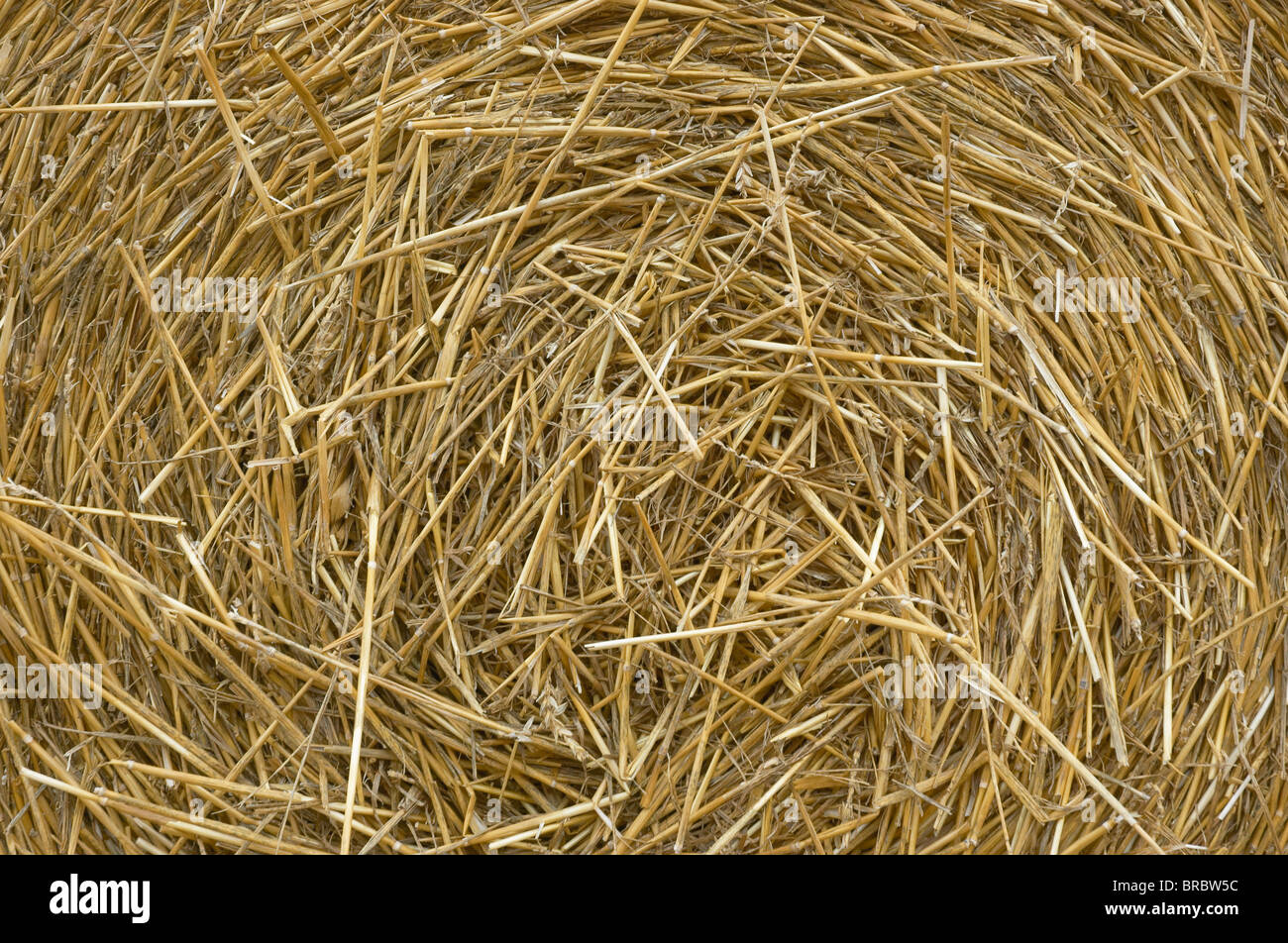 Straw more hi-res stock photography and images - Alamy