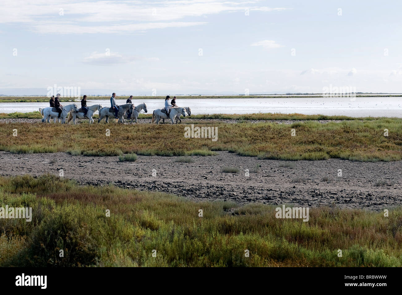 Riding wildlife hi-res stock photography and images - Alamy