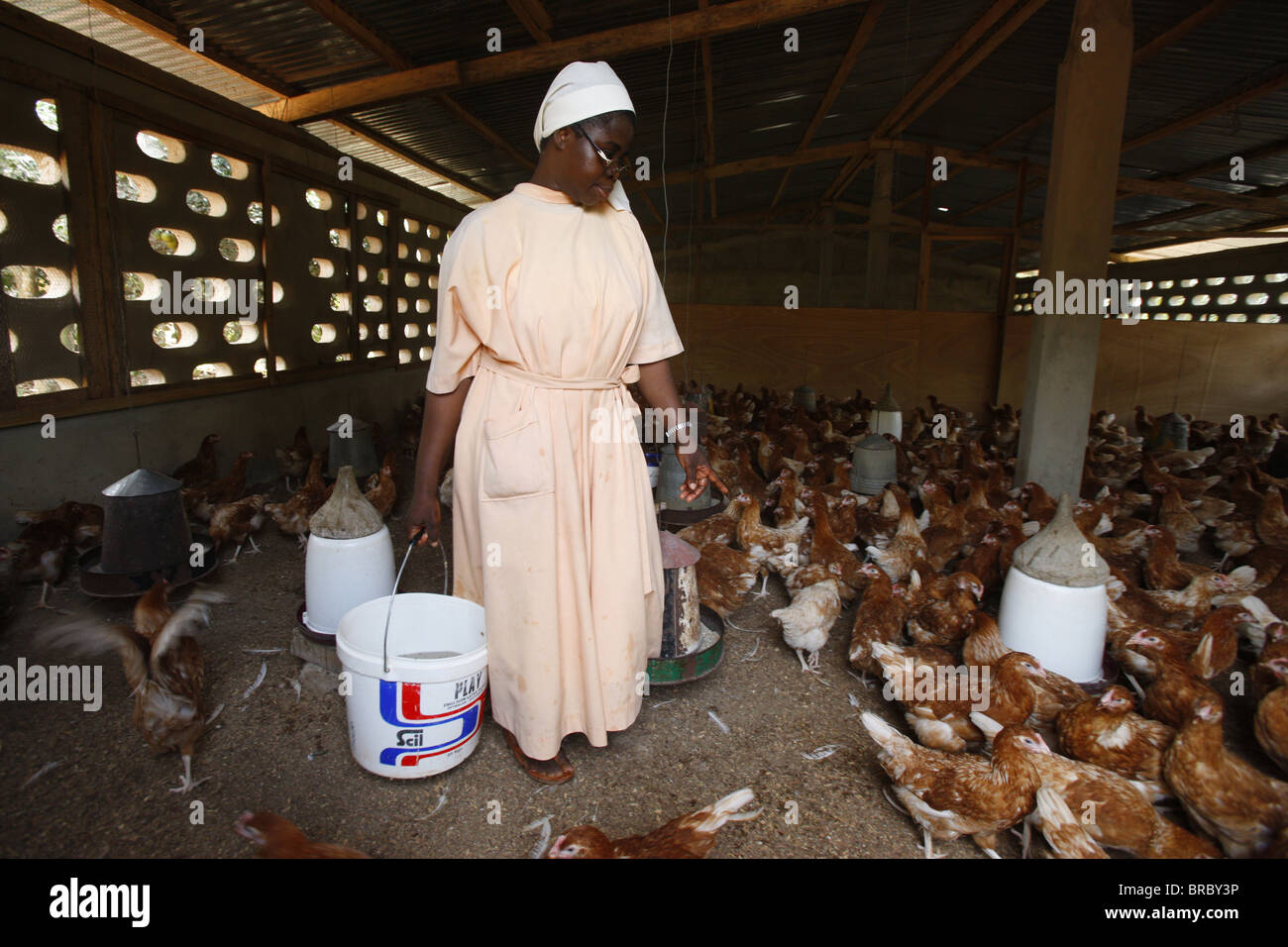 Poultry breeding at Akepe Catholic Monastery, Akepe, Togo, West Africa ...