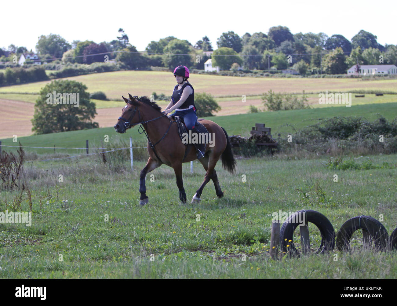A teeage girl riding a beautiful bay Welsh Cob Stock Photo - Alamy