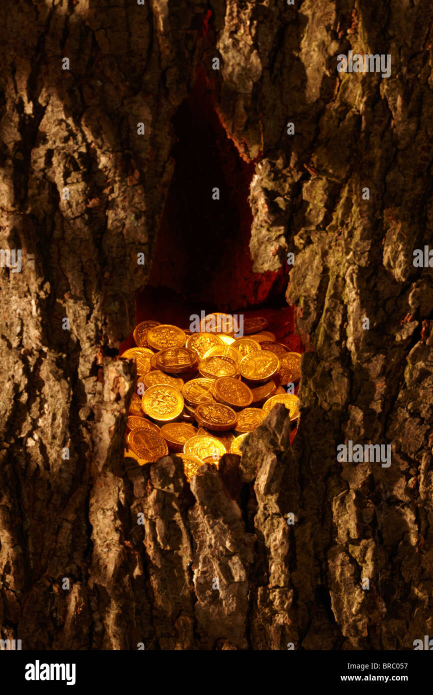 Gold pound coins in tree trunk Stock Photo - Alamy