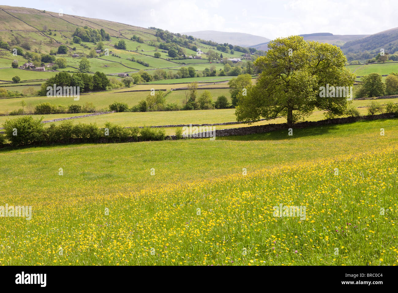 Springtime in Dentdale in the Yorkshire Dales National Park - looking ...