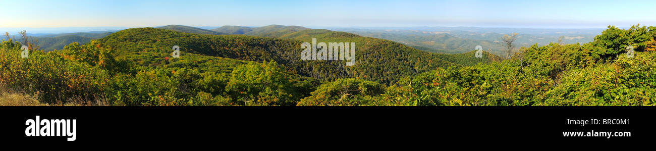Reddish Knob Panorama