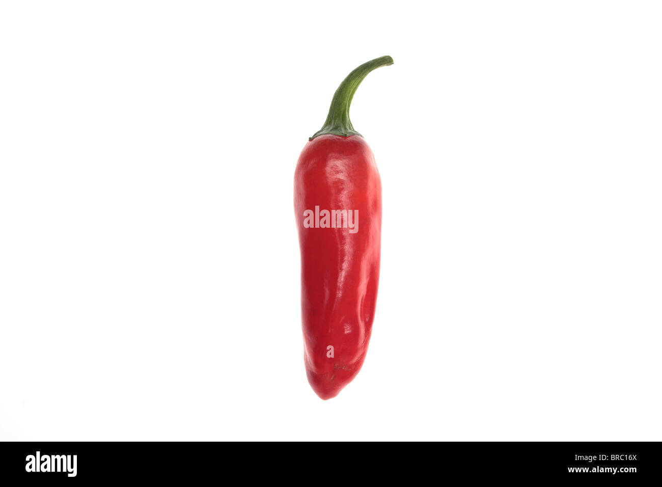 single red chili pepper shot against a white background Stock Photo - Alamy