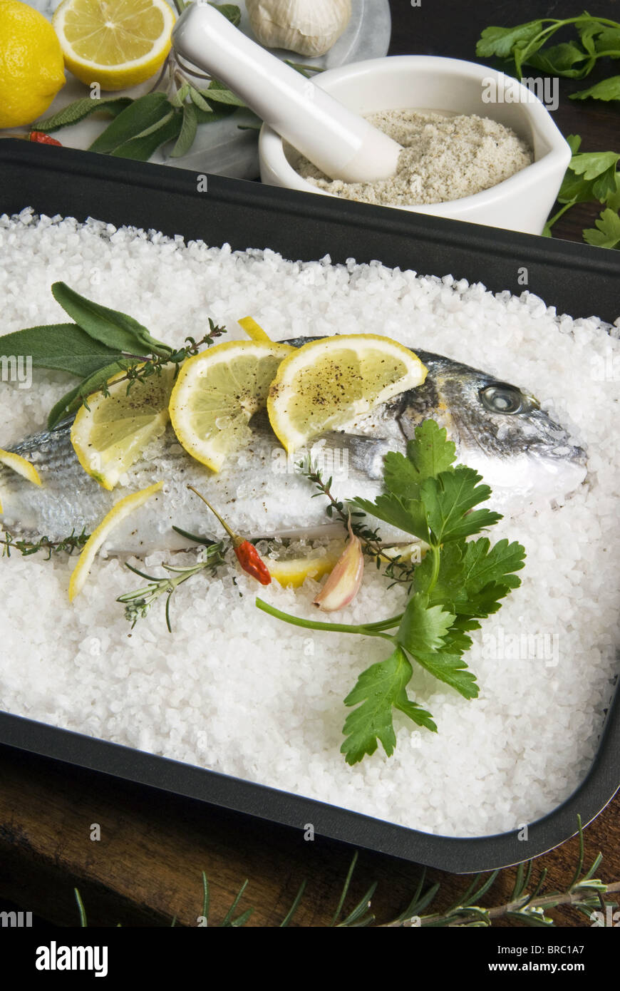 Gilthead bream hi-res stock photography and images - Alamy